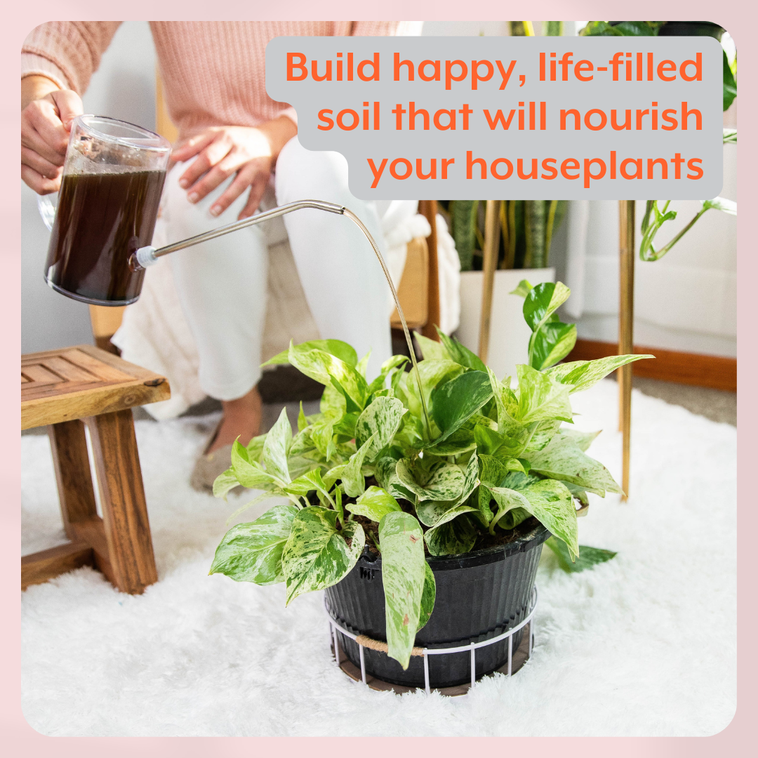 The Houseplant GROW Bundle (Plant Food + ProBiotics + Watering Can ...